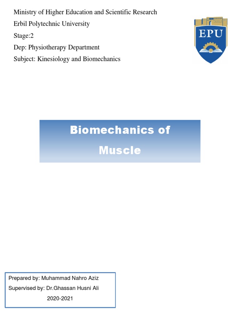 Biomechanics of Muscle (Skeletal) | PDF | Skeletal Muscle | Muscle ...