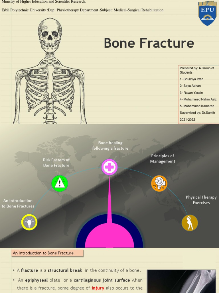 Bone Fracture | PDF | Bone | Skeletal System