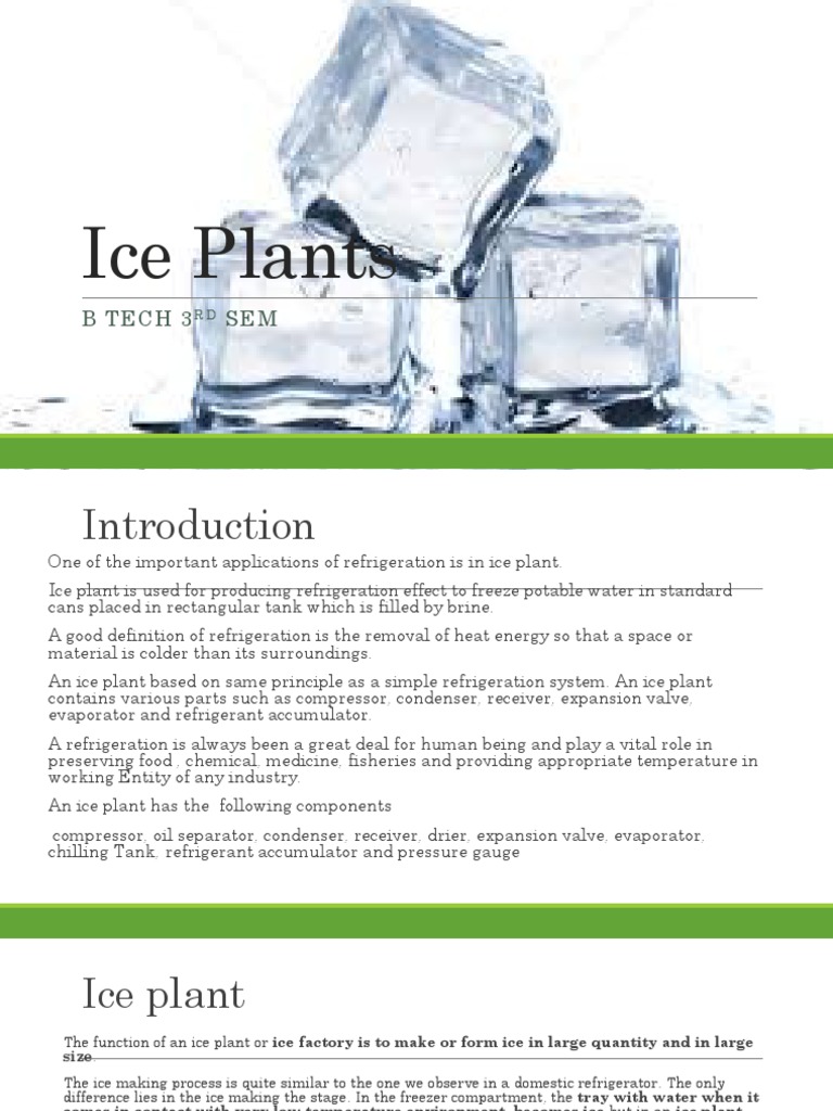 Ice Plants SLM | PDF | Water | Ice