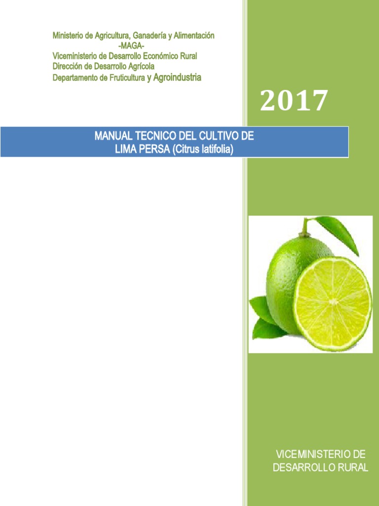 Lima Persa | PDF | Fertilizante | Limón