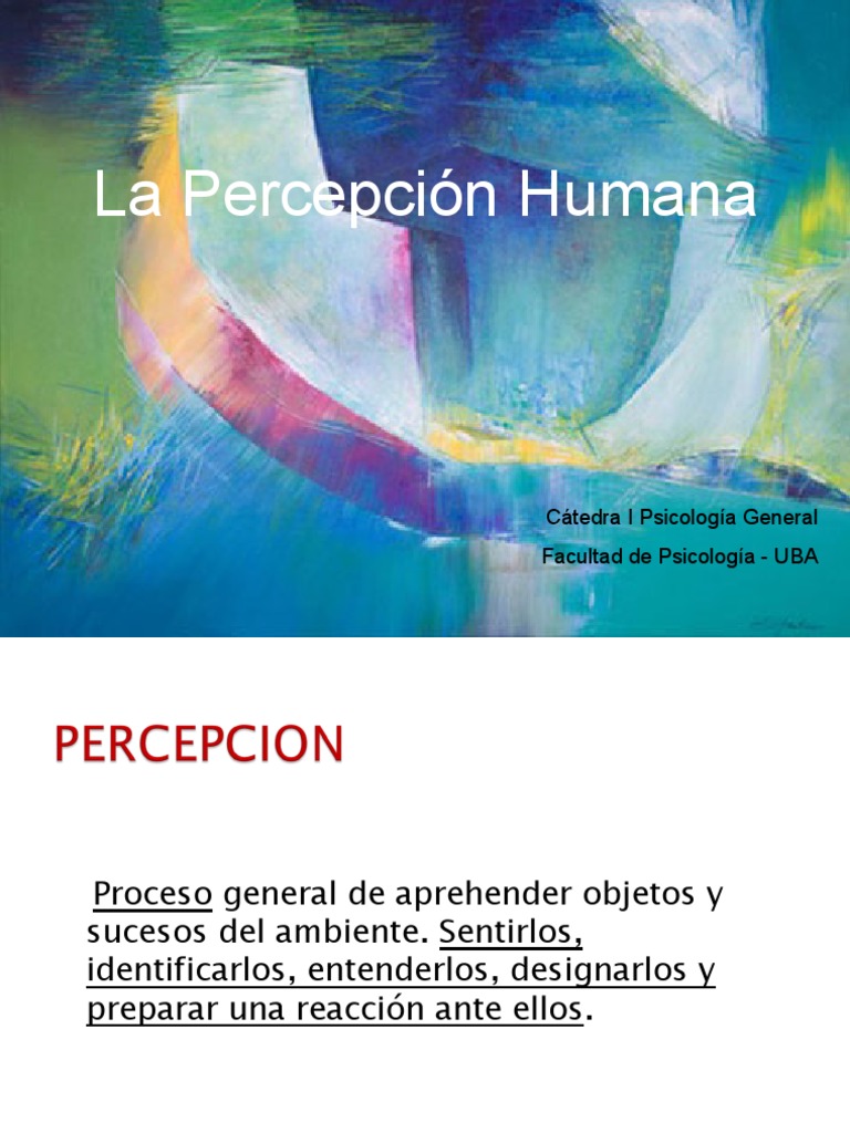 Percepción Según Gerrig y Zimbardo | PDF | Percepción | Ojo
