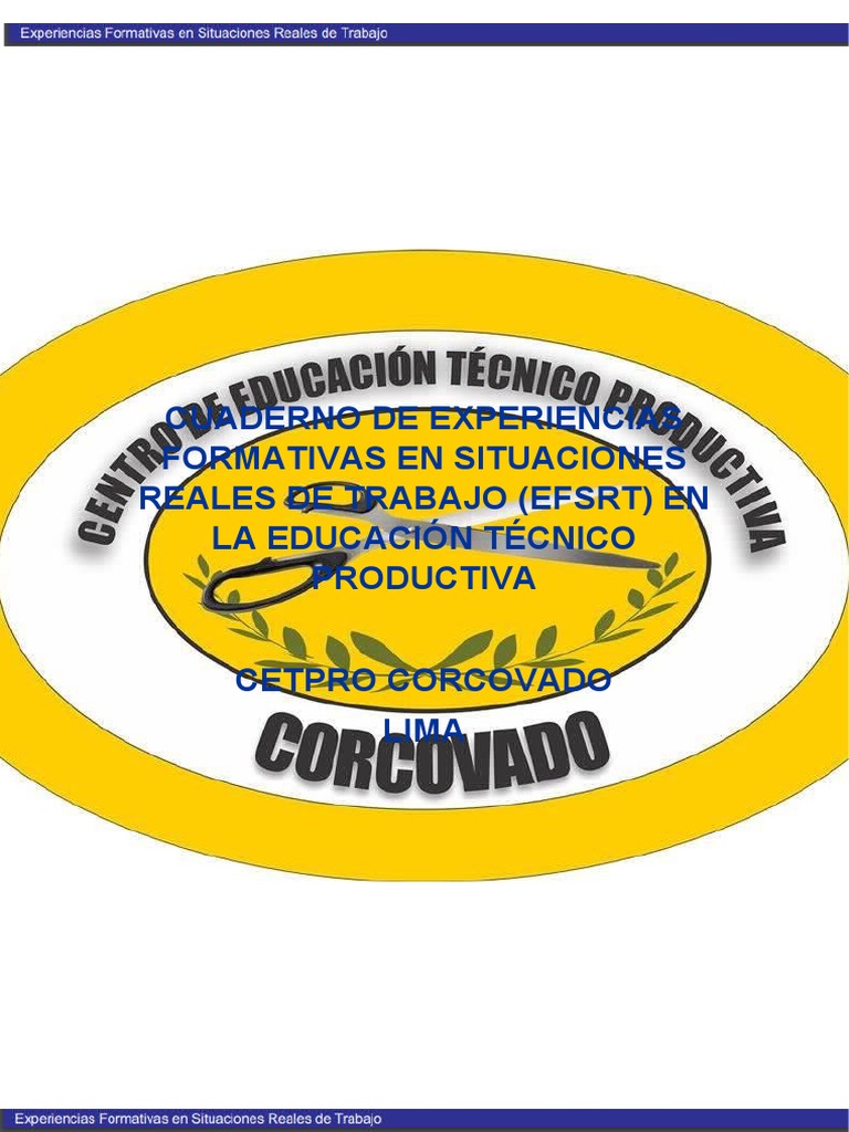 Experiencias Formativas en CETPRO | PDF | Evaluación