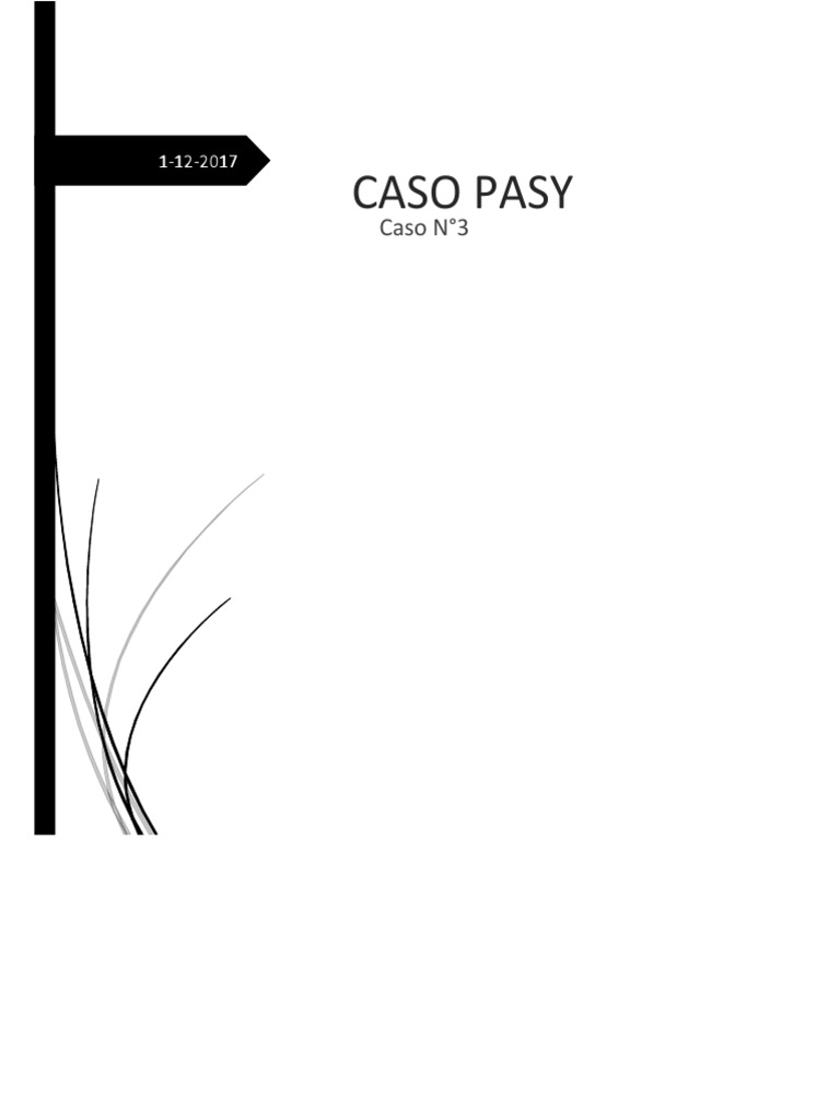 Caso N°3 - CASO PASY - DGN | Descargar gratis PDF | Presupuesto | Business