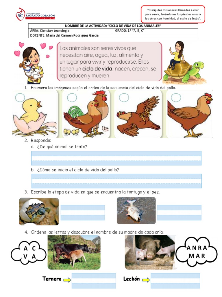 Ciclo de Vida de Los Animales - Animales Ovíparos y Vivíparos | PDF