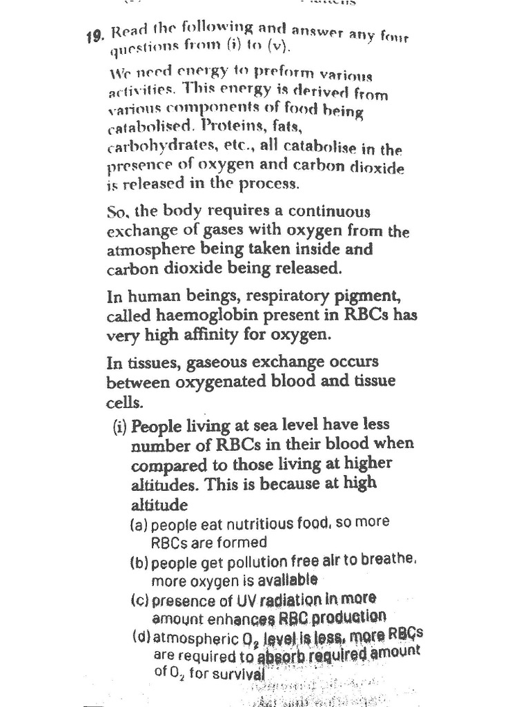 Case Studies 5 | PDF