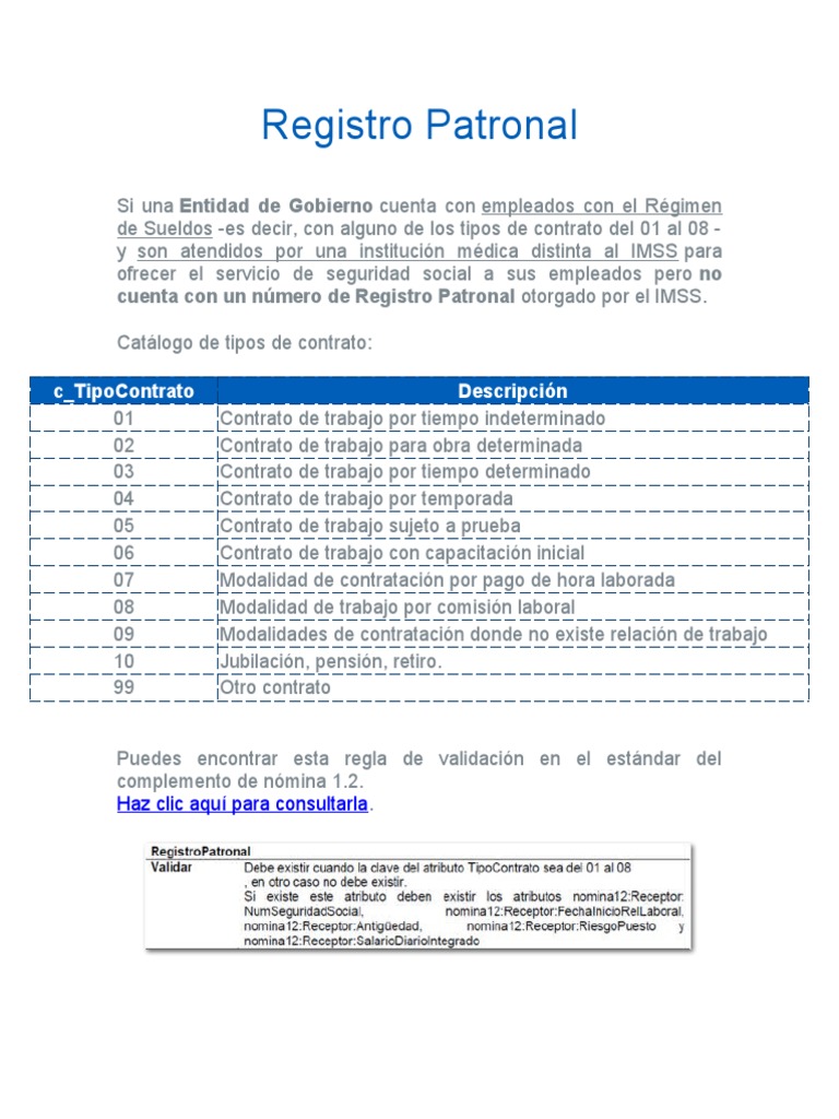 Registro Patronal Ejemplo | PDF