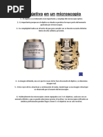 Guía de cortes histológicos de rata | PDF | Retina | Músculo esquelético