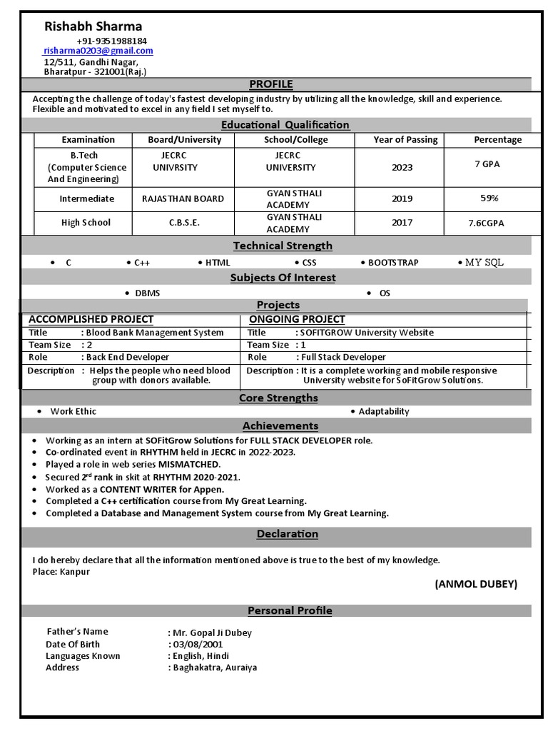 Rishabh Resume | PDF | Databases | Software