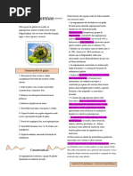 Bula - Benevia | PDF | Agricultura | Plantas