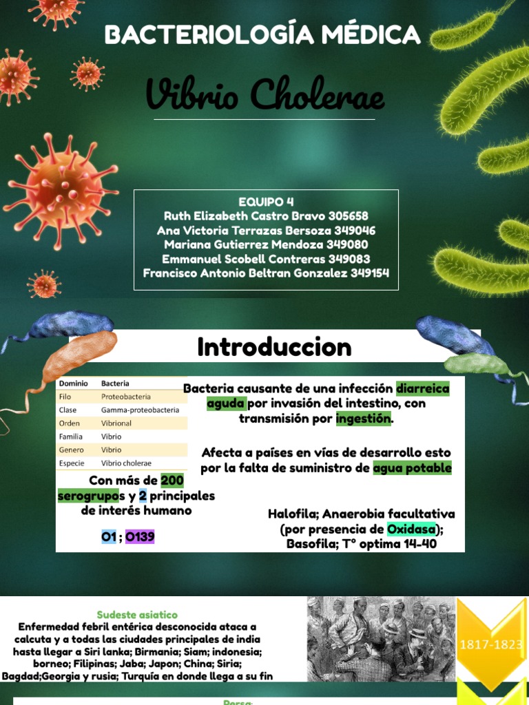 Vibrio Cholerae | PDF | Sistema inmune | Inmunología