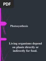 Grade 10 Biolgoy Unit 4 | PDF | Leaf | Photosynthesis