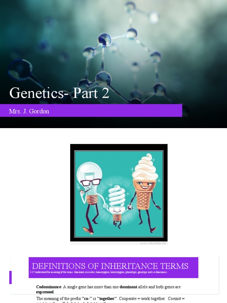 Genetics - Part 2 | PDF | Dominance (Genetics) | Genotype