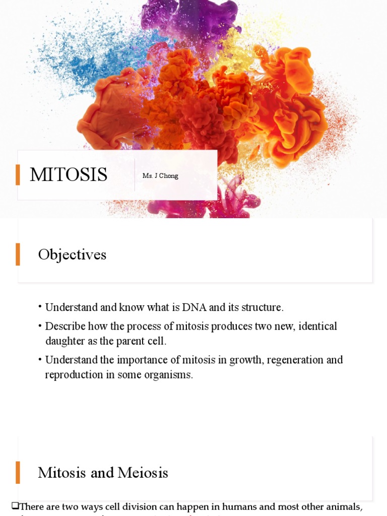 Mitosis & Meiosis | PDF | Meiosis | Mitosis