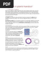 Function and Role of Plumule in Seeds | PDF | Seedling | Biology