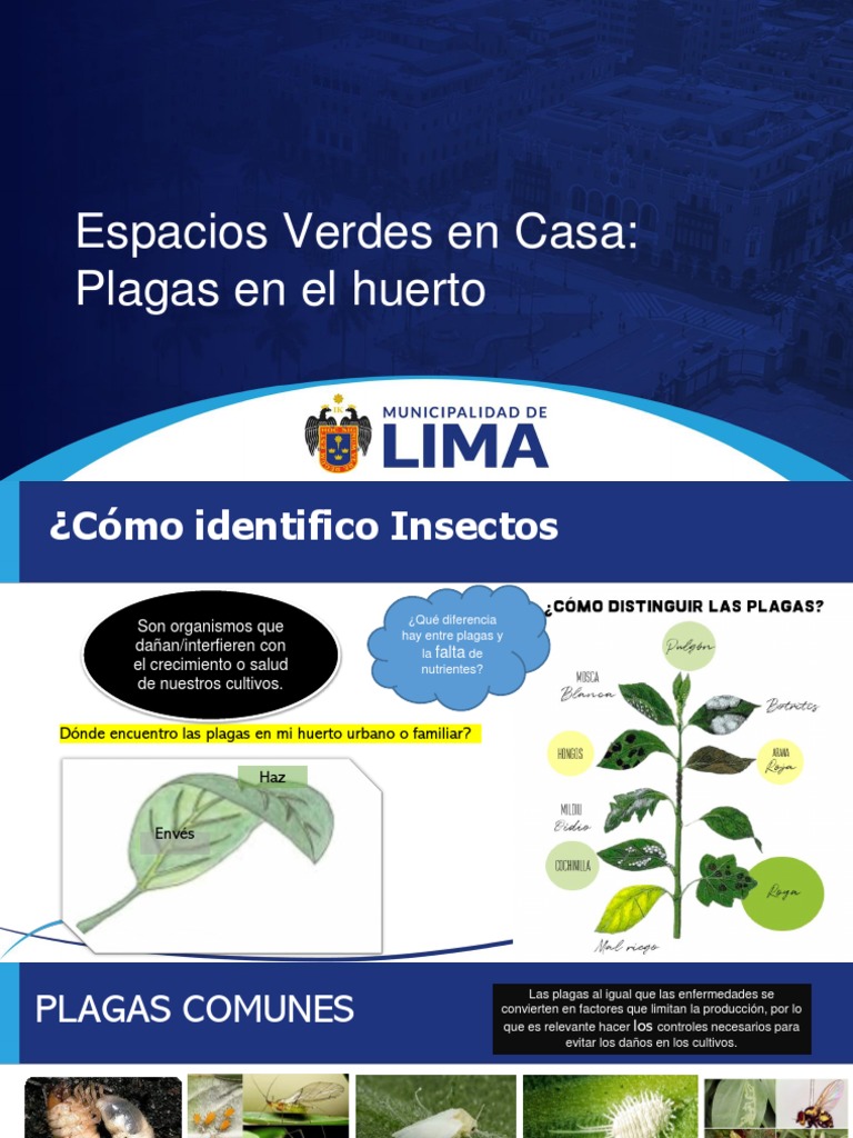 S5 - EVC Control de Plagas en El Huerto | PDF | Plaga (organismo) | Control biológico de plagas