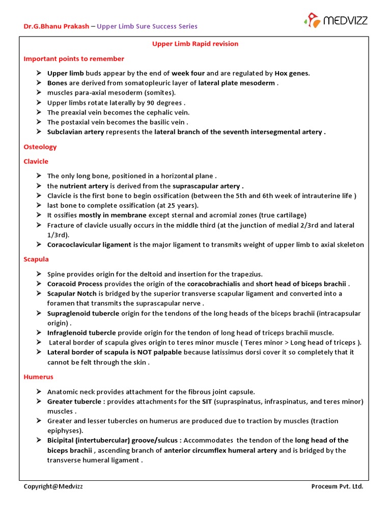 Upper Limb Rapid Revision | PDF | Elbow | Arm