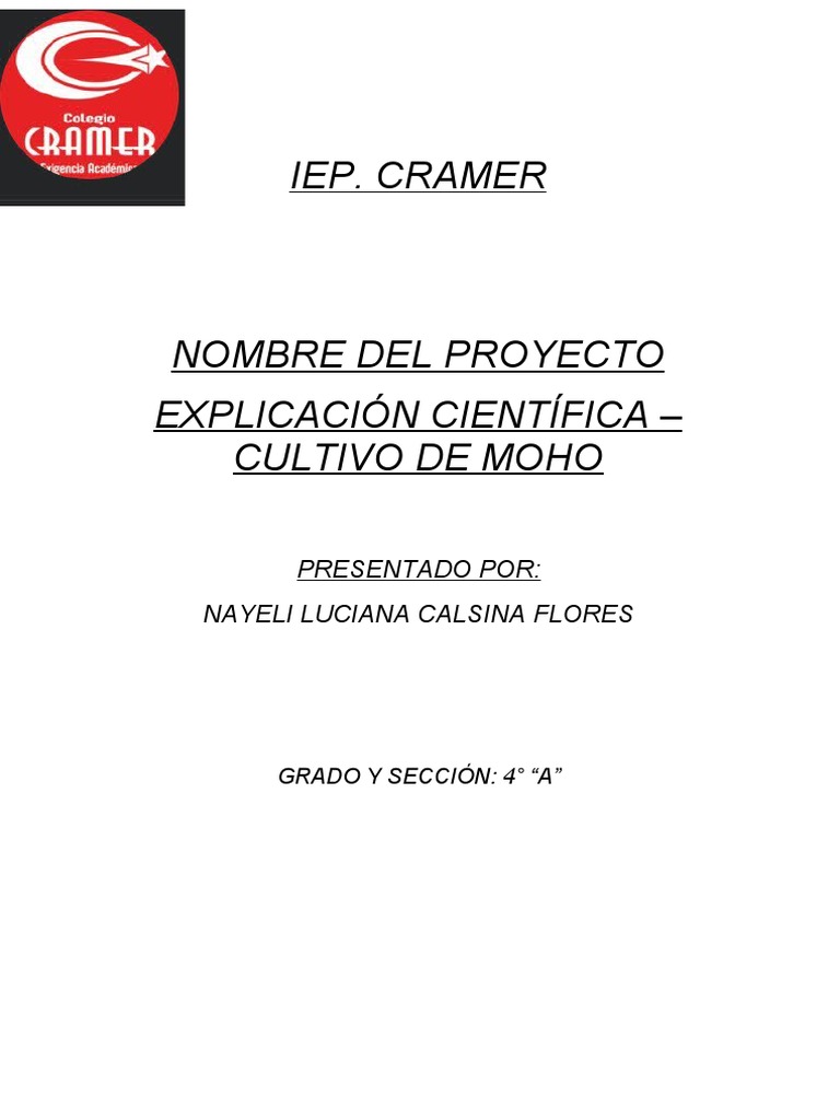 Experinento Nayeli | PDF | Molde | Alimentos