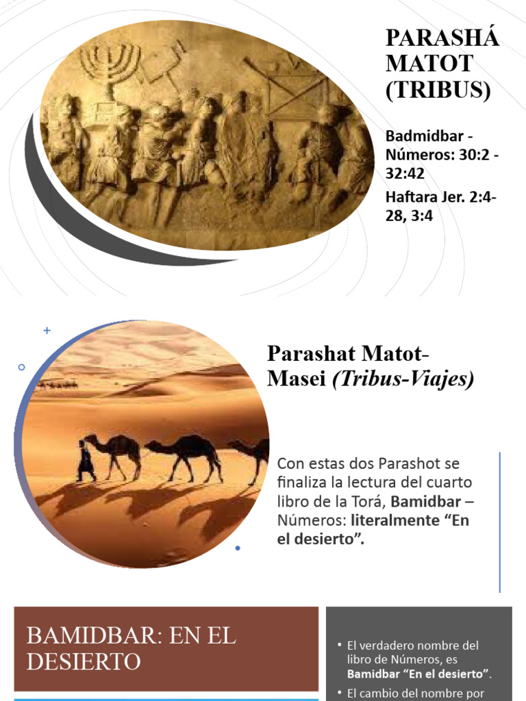 Parasha Tribus | PDF | Libro de números | Moisés