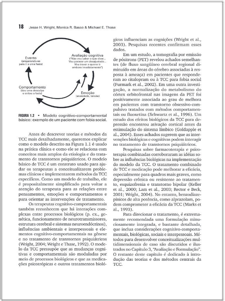 Aprendendo A Terapia Cognitivo Comportamental Pdf Pdf