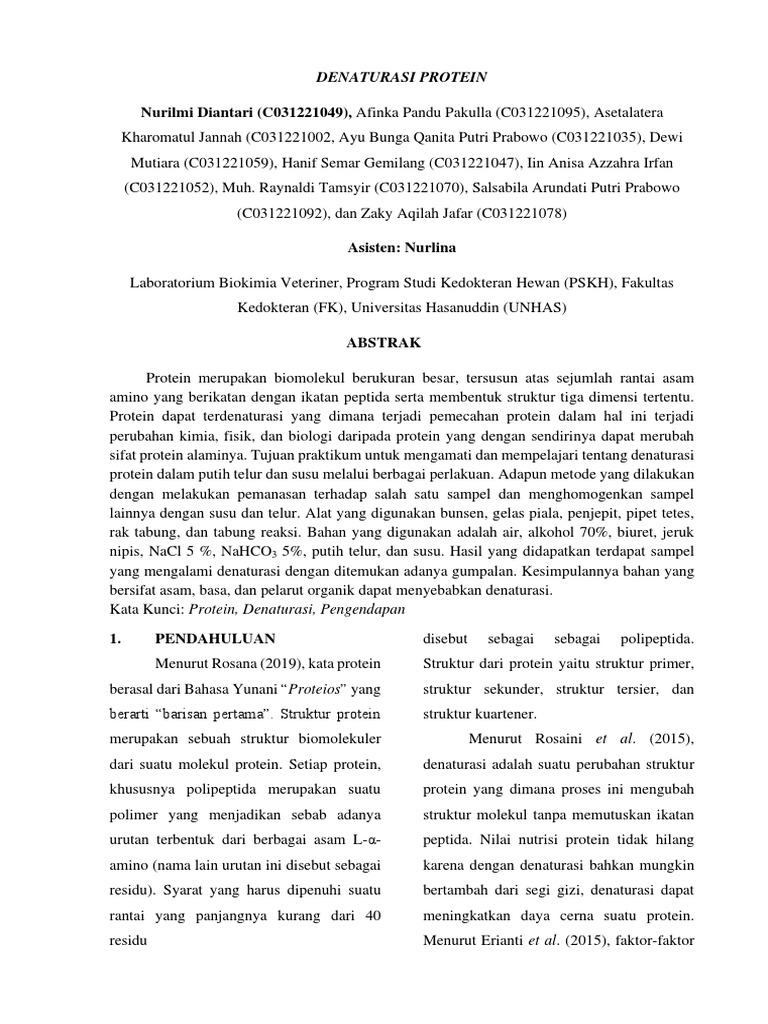 Denaturasi Protein | PDF