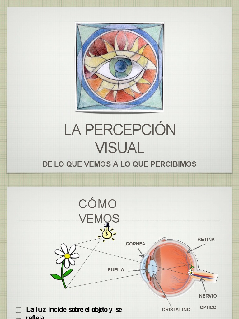 Percepción Visual y Sus Ilusiones | PDF | Percepción visual | Percepción