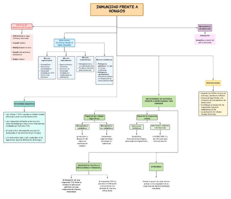 Inmunidad Frente A Hongos | PDF | Sistema inmune | Infección