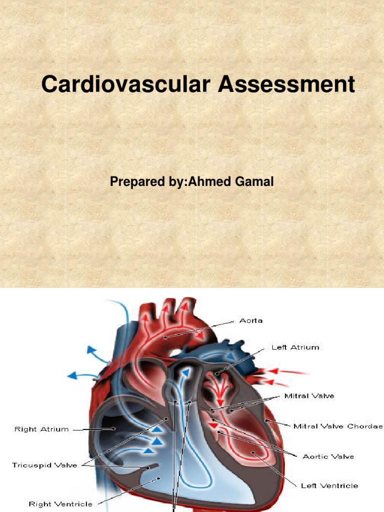 Comprehensive Cardiovascular Exam Guide | PDF | Heart | Heart Valve