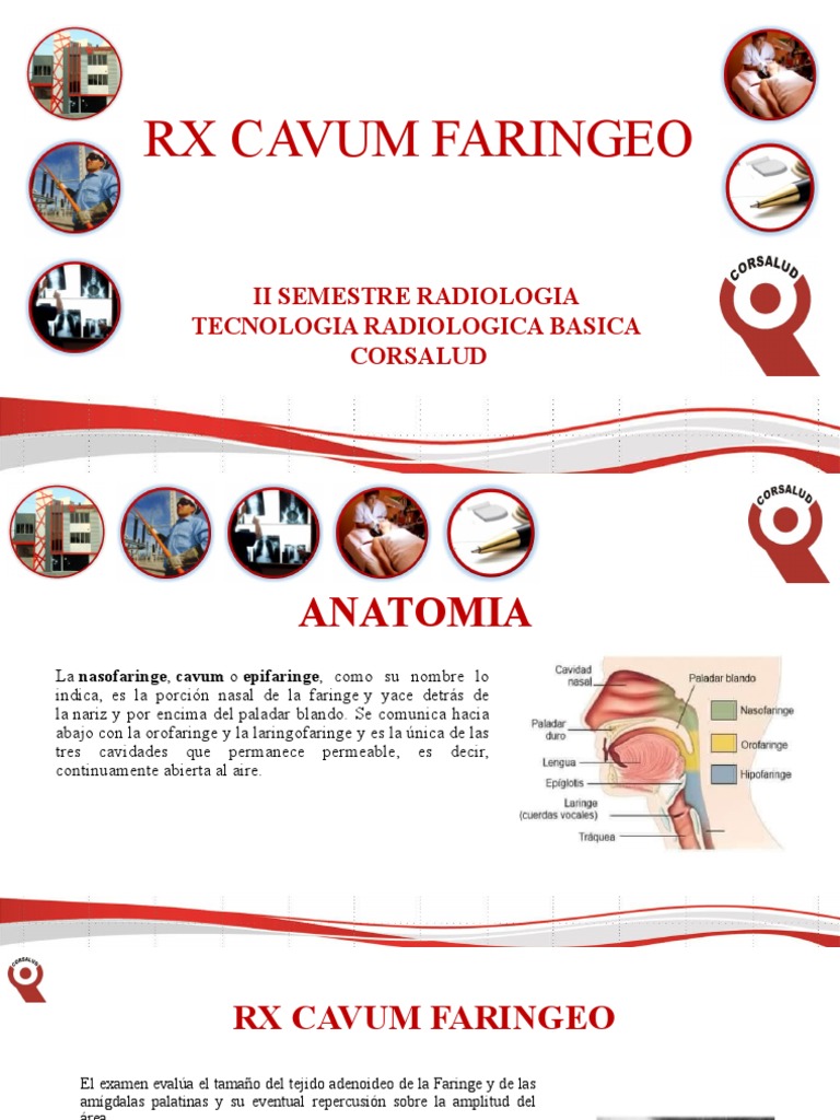 CAVUM FARINGEO 2021 (1) | PDF