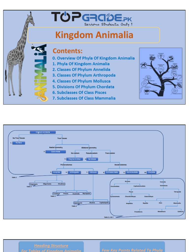 Tables of Kingdom Animalia | PDF | Invertebrate | Skeleton