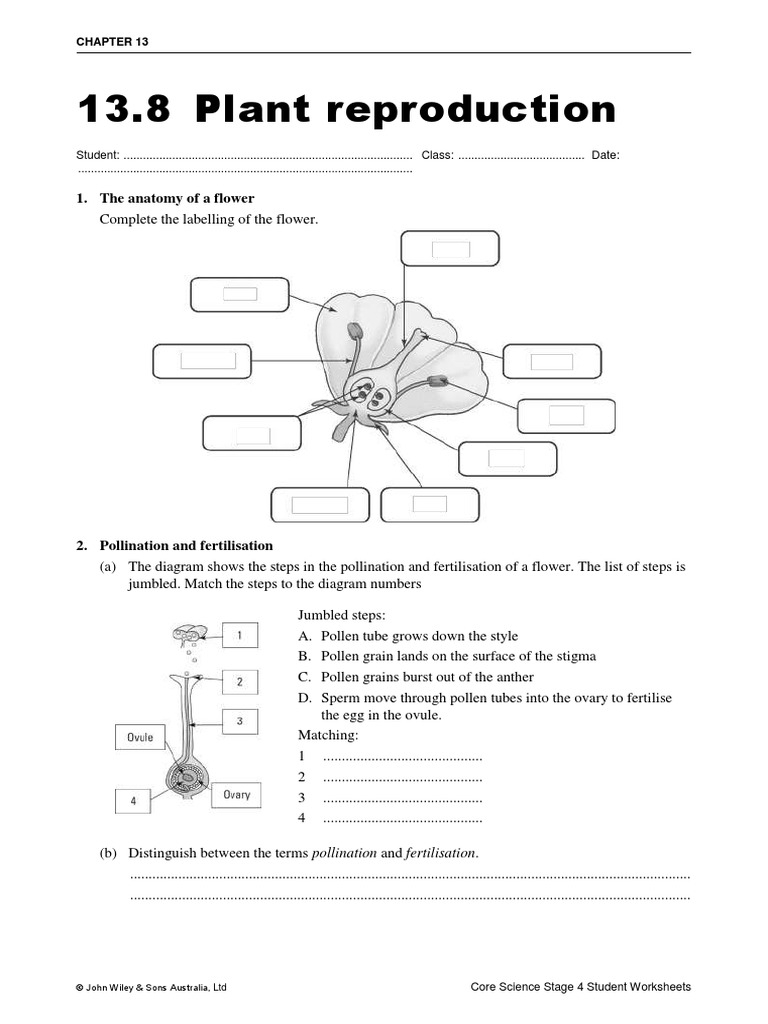 13.8 Plant Reproduction: 1. The Anatomy of A Flower | PDF