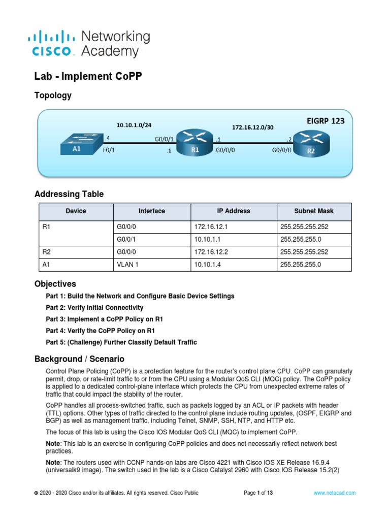 Lab Implement Copp | PDF | Telecommunications Standards | Cyberspace