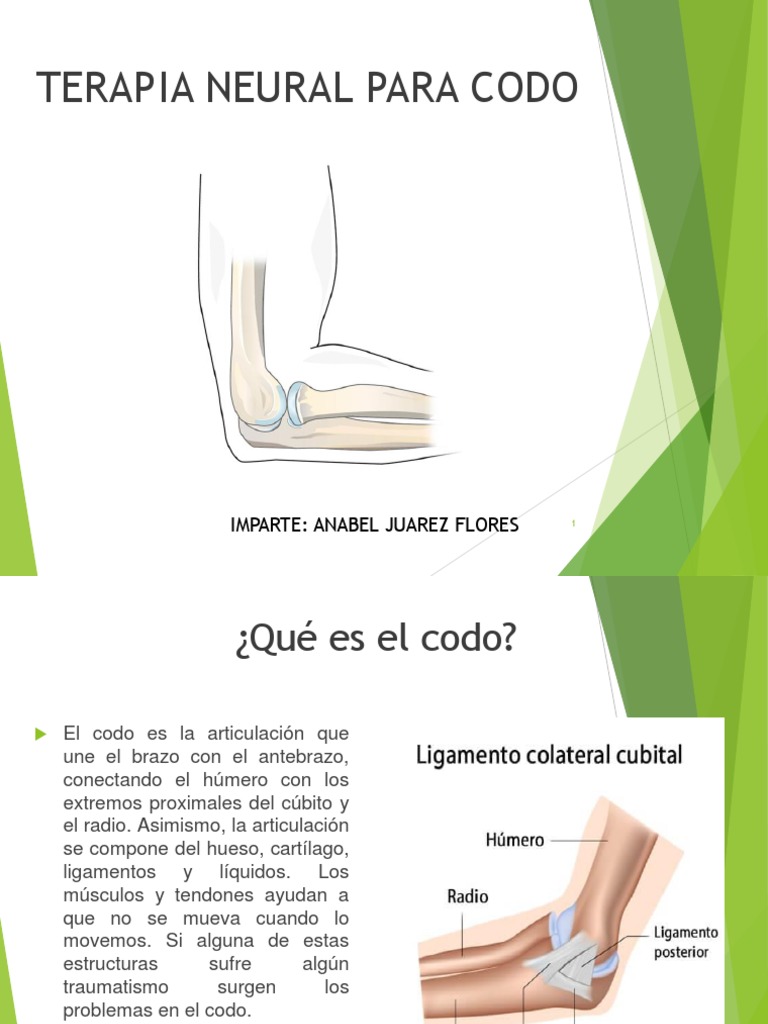 TN Codo | PDF | Articulación | Codo