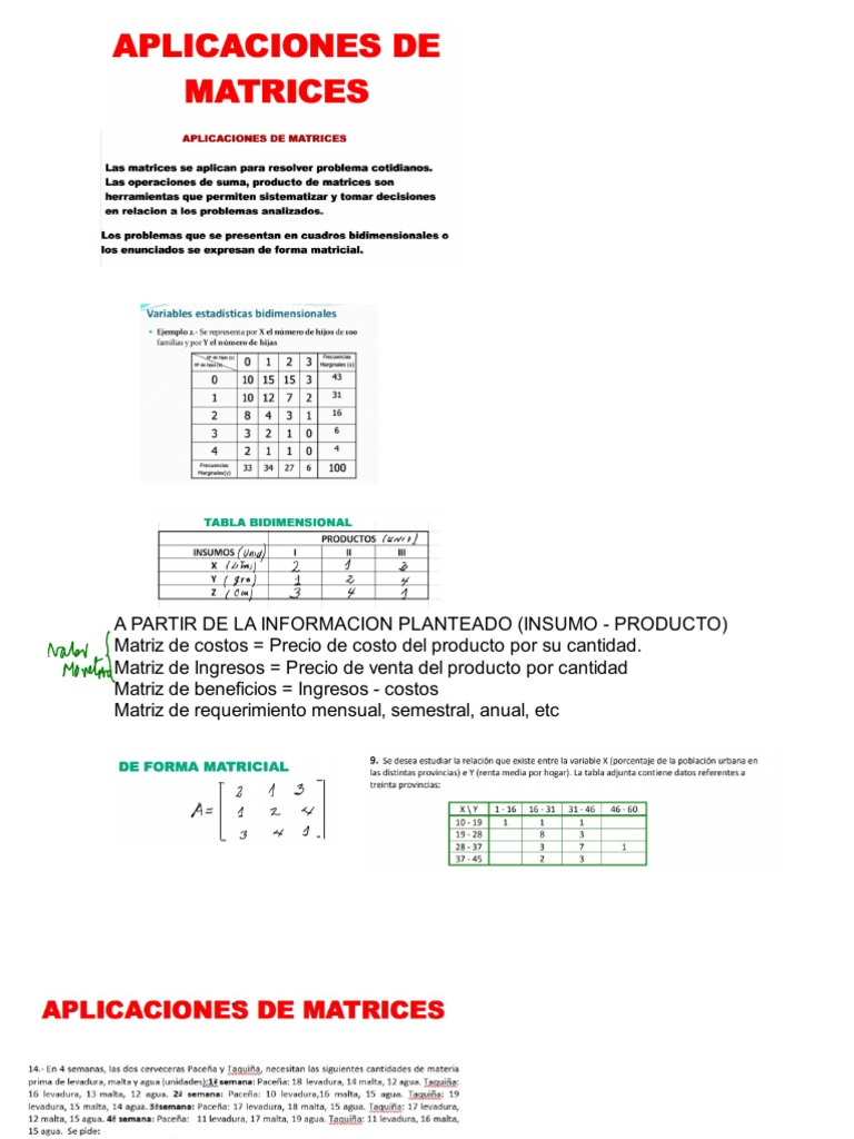 Aplicaciones de Matrices | PDF
