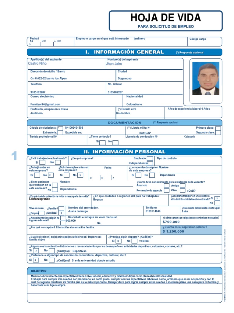 Modelo-Hoja-De-Vida-Minerva-1003-Jhon Castro | PDF