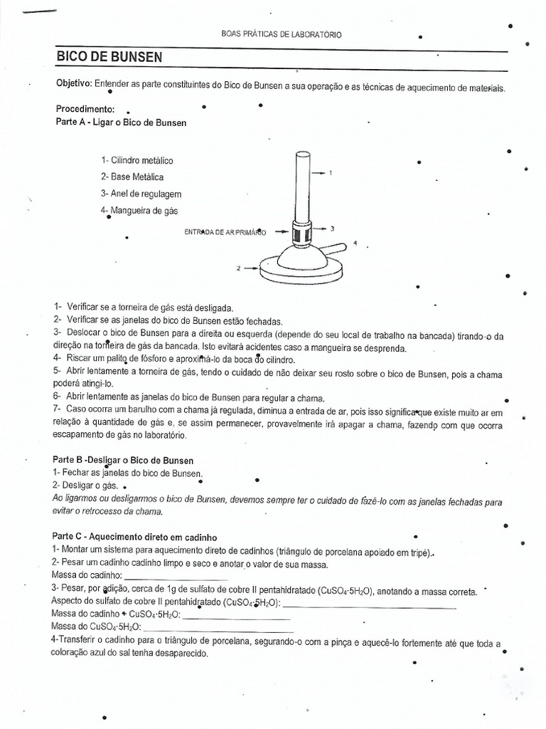 Bico de Bunsen - Aula Prática | PDF