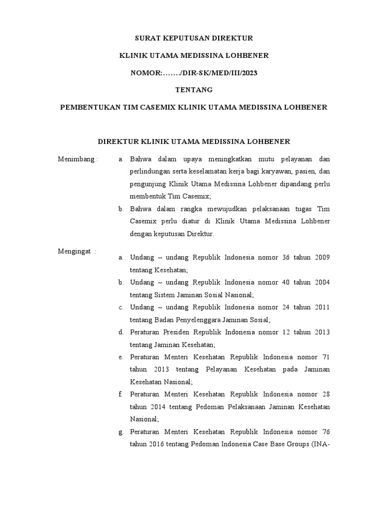 SK Tim Casemix | PDF