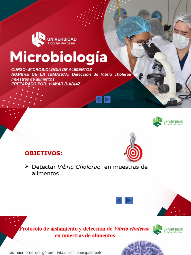 DETECCIÓNN Vibrio Cholerae | PDF