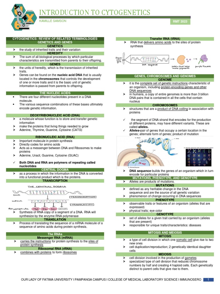 Cytogenetics 2 | PDF