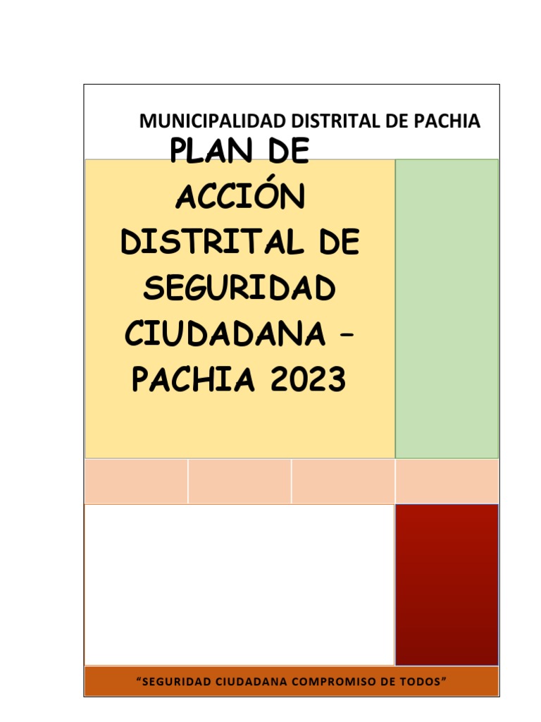 PLAN DE ACCION CODISEC PACHIA_2023 | PDF