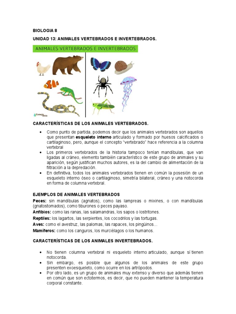 Vertebrados e Invertebrados: Conceptos y Ejemplos | PDF