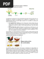 Ciclo de Vida y Reproduccion en Anfibios | PDF | Rana | Zoología