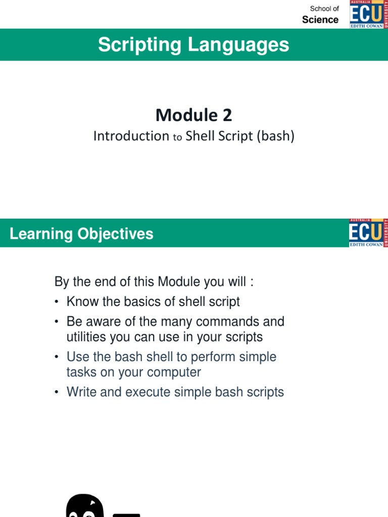 Scripting Languages M2 | PDF | Scripting Language | Command Line Interface Scripting Languages M2 | PDF | Scripting Language | Command Line Interface