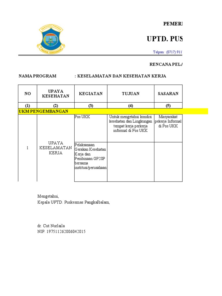 Format RPK Bulanan Pangkalbalam | PDF