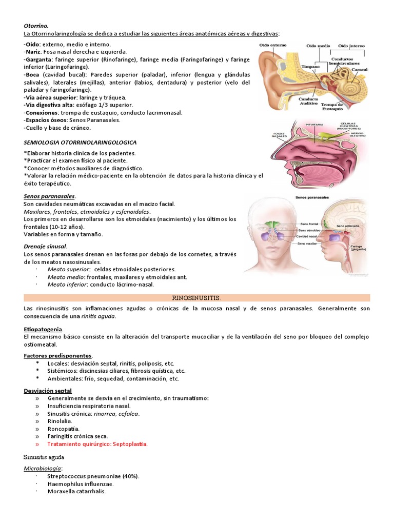 Otorrino Resu. 1 | PDF
