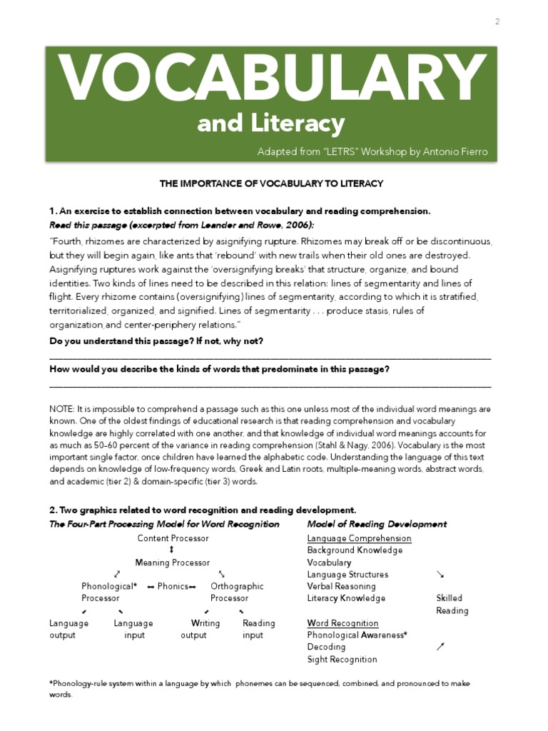 Vocabulary and Literacy MS | PDF