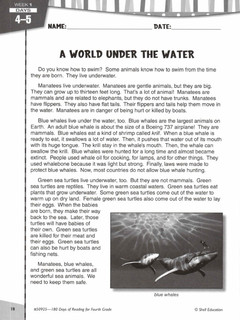 Grade 4 Reading Week 1 Day 4-5 | PDF