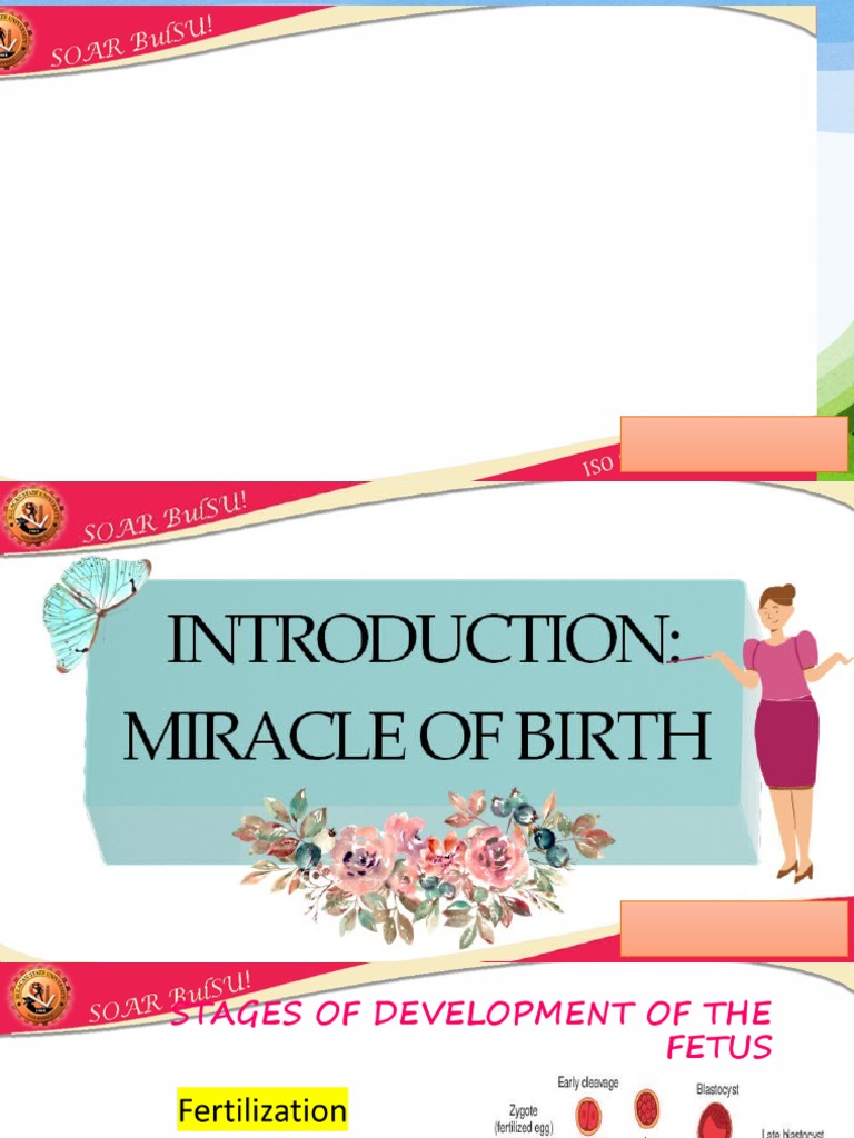 Chapter 1 Miracle of Birth | PDF | Pregnancy | Causes Of Death
