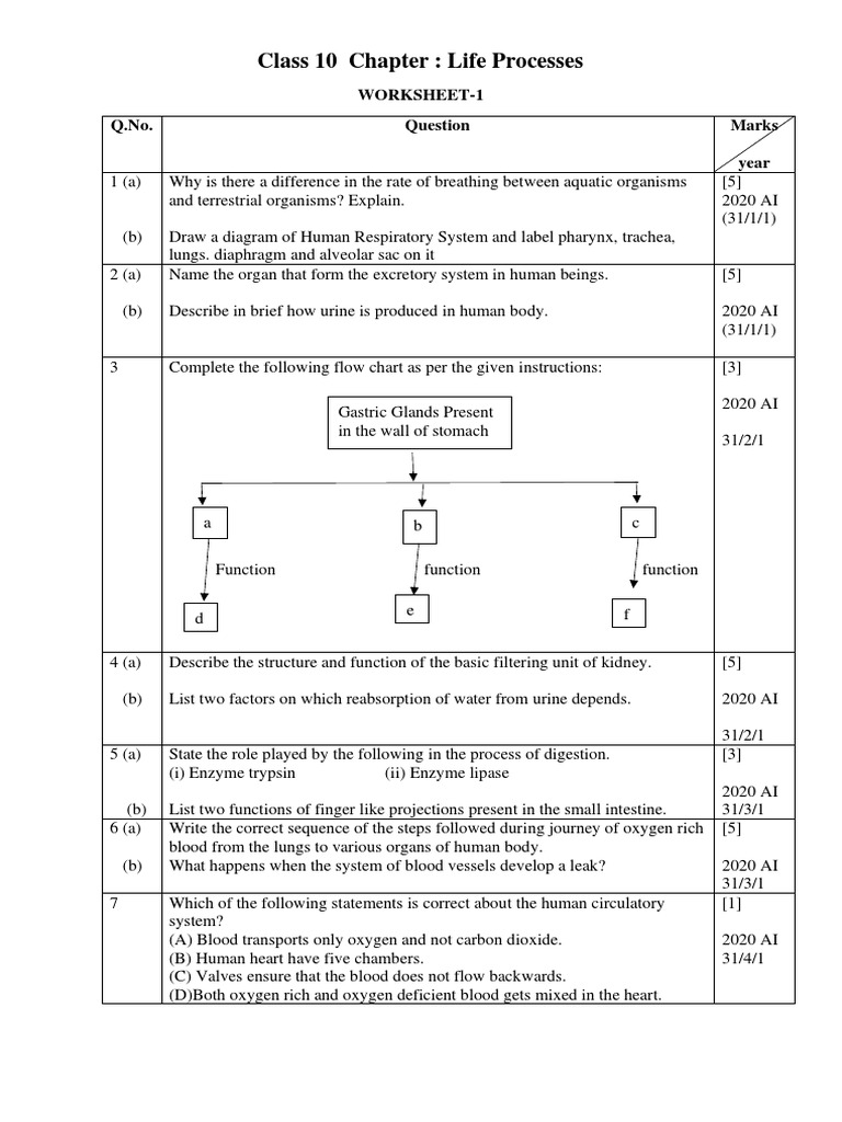 10 Worksheet LP 1 | PDF | Stomach | Digestion