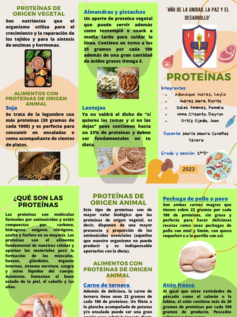 Triptico de las proteínas | PDF | Proteínas | Carne