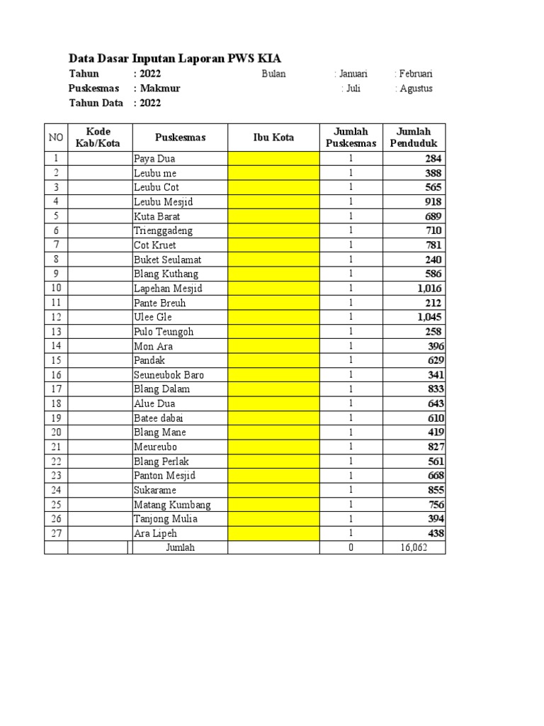 Data Dasar Inputan Laporan PWS KIA: Bulan: Januari: Februari: Juli: Agustus | PDF